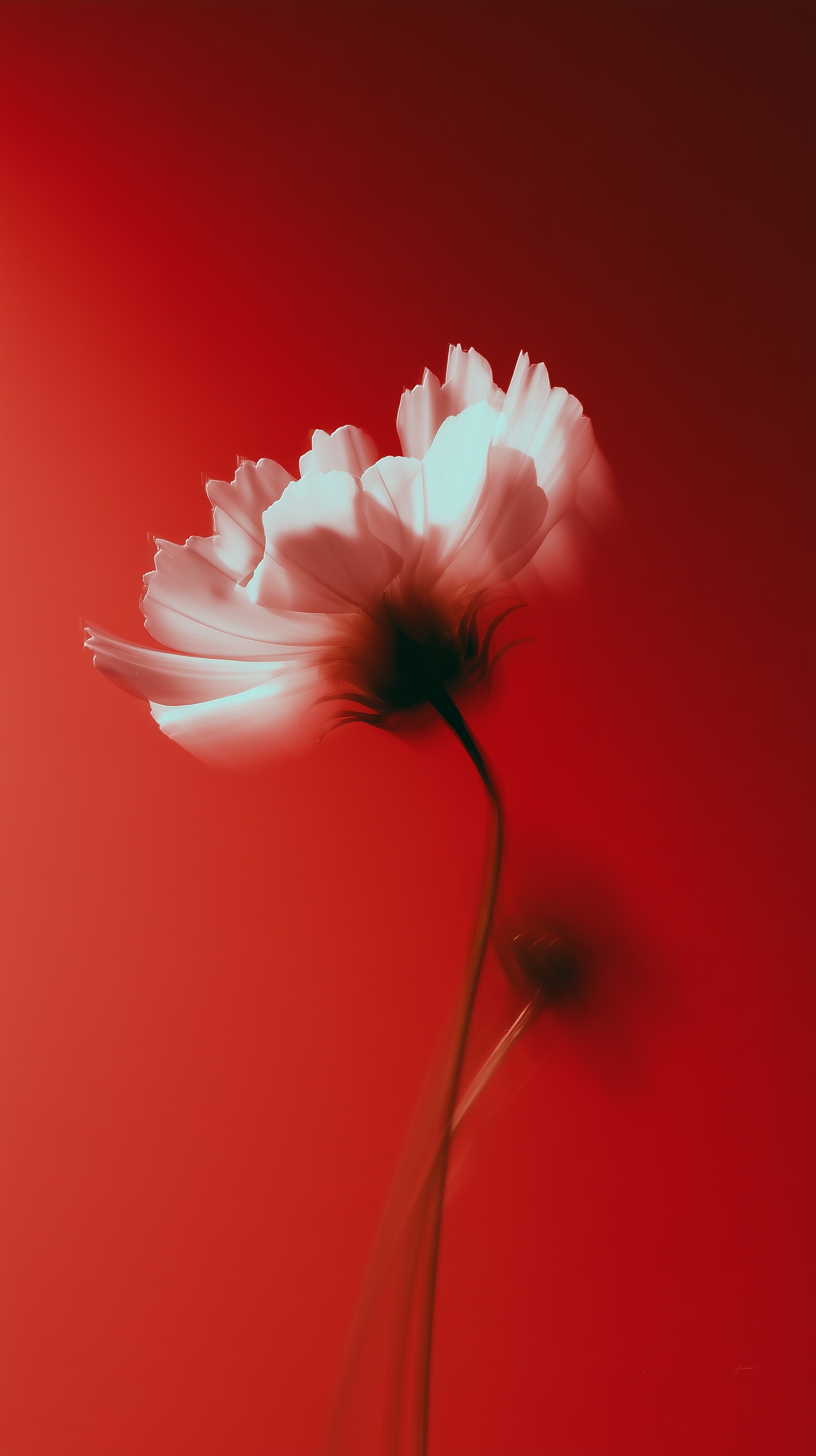 Blurry Flower In Motion: Soft Focus Artistry • PromptDen